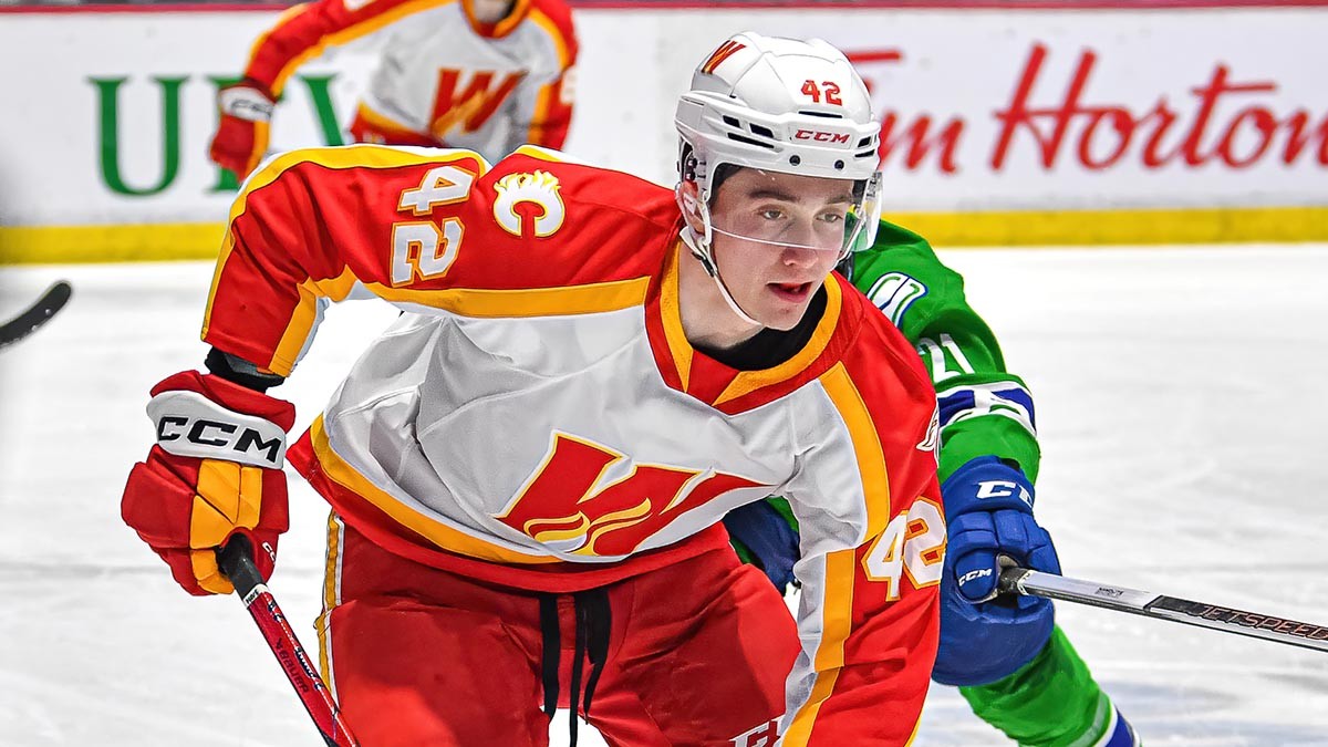 VIDEO AHL: Honzek vstúpil do nového roka gólovo, spečatil triumf ...