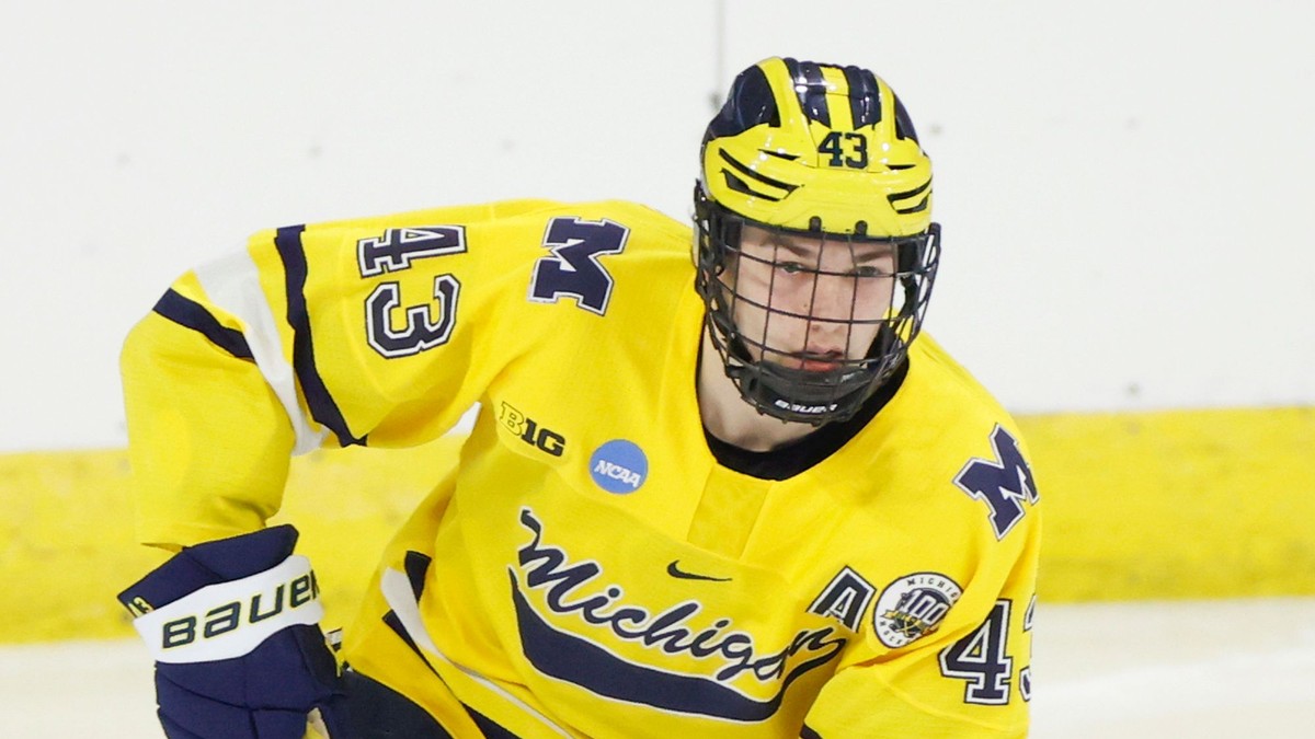 NHL: Luke Hughes absolvuje debut v NHL proti Washingtonu alebo Buffallu ...