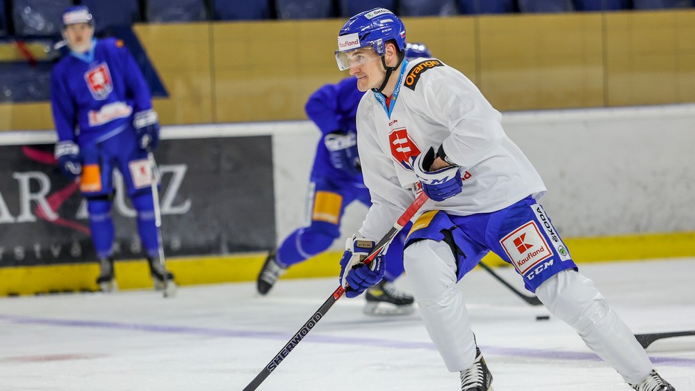 Hokej: Obranca Michal Chovan sa vracia do HC Nové Zámky (Tipos ...