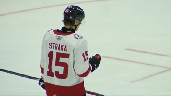 NHL: Ján Chovan a Andreas Straka skončili v predsezónnych kempoch ...