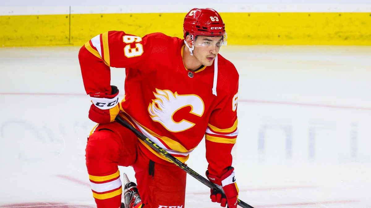 NHL: Adam Ružička a Martin Pospíšil si spolu zahrajú za Calgary Flames ...