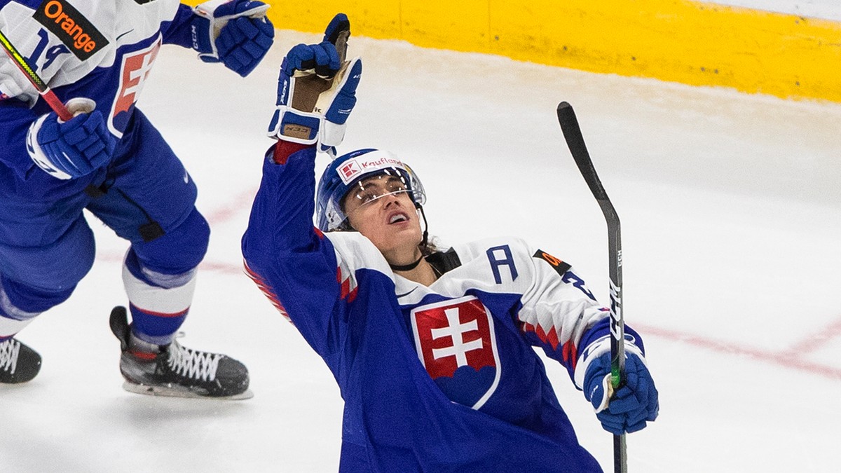 AHL: Michal Mrázik dostal pozvánku na kemp do tímu Hartford Wolf Pack ...