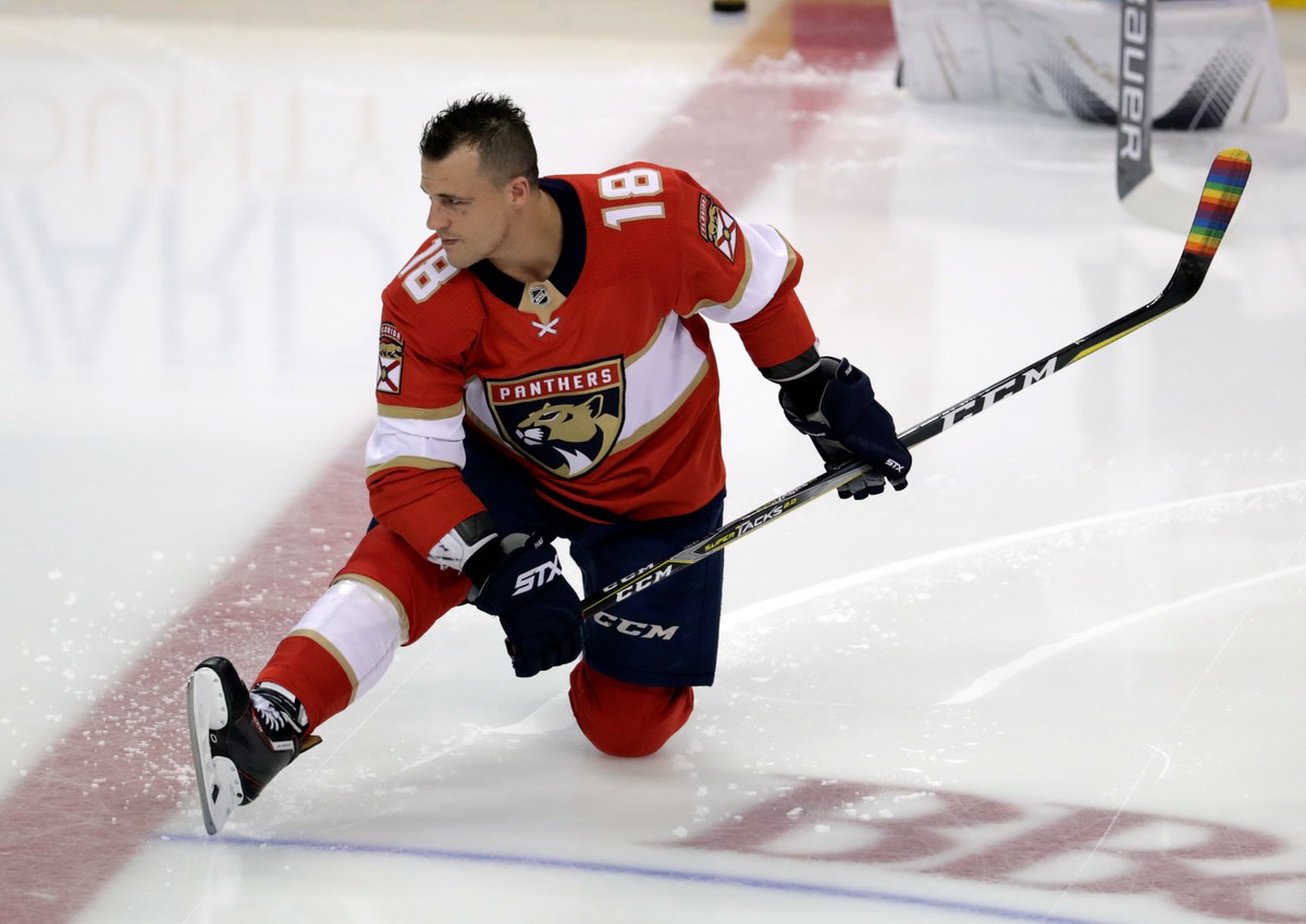 Michael Haley vstúpil do asistenčného programu NHLPA | SPORTNET