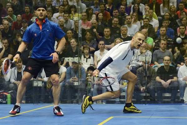 O tituly v squashi budú hrať v Bratislave | SPORTNET
