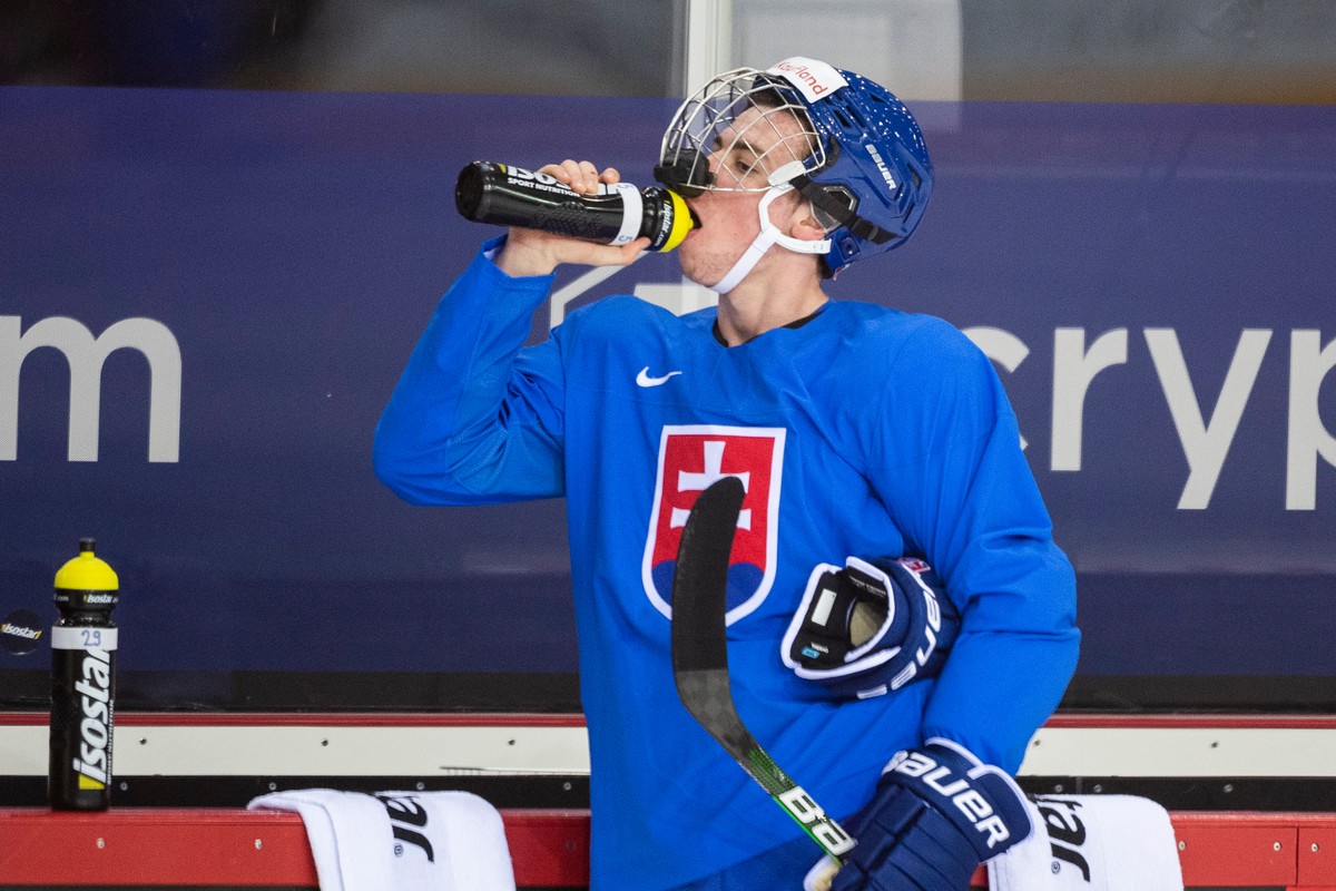 MS 20 hokej 2022: Švéd Leo Loof má trest za zákrok na Šimona Nemca ...