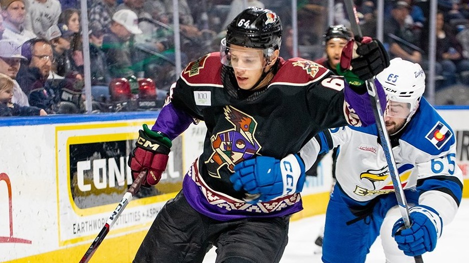 AHL: Koch bol na ľade pri rozhodujúcom góle (VIDEO) | SPORTNET